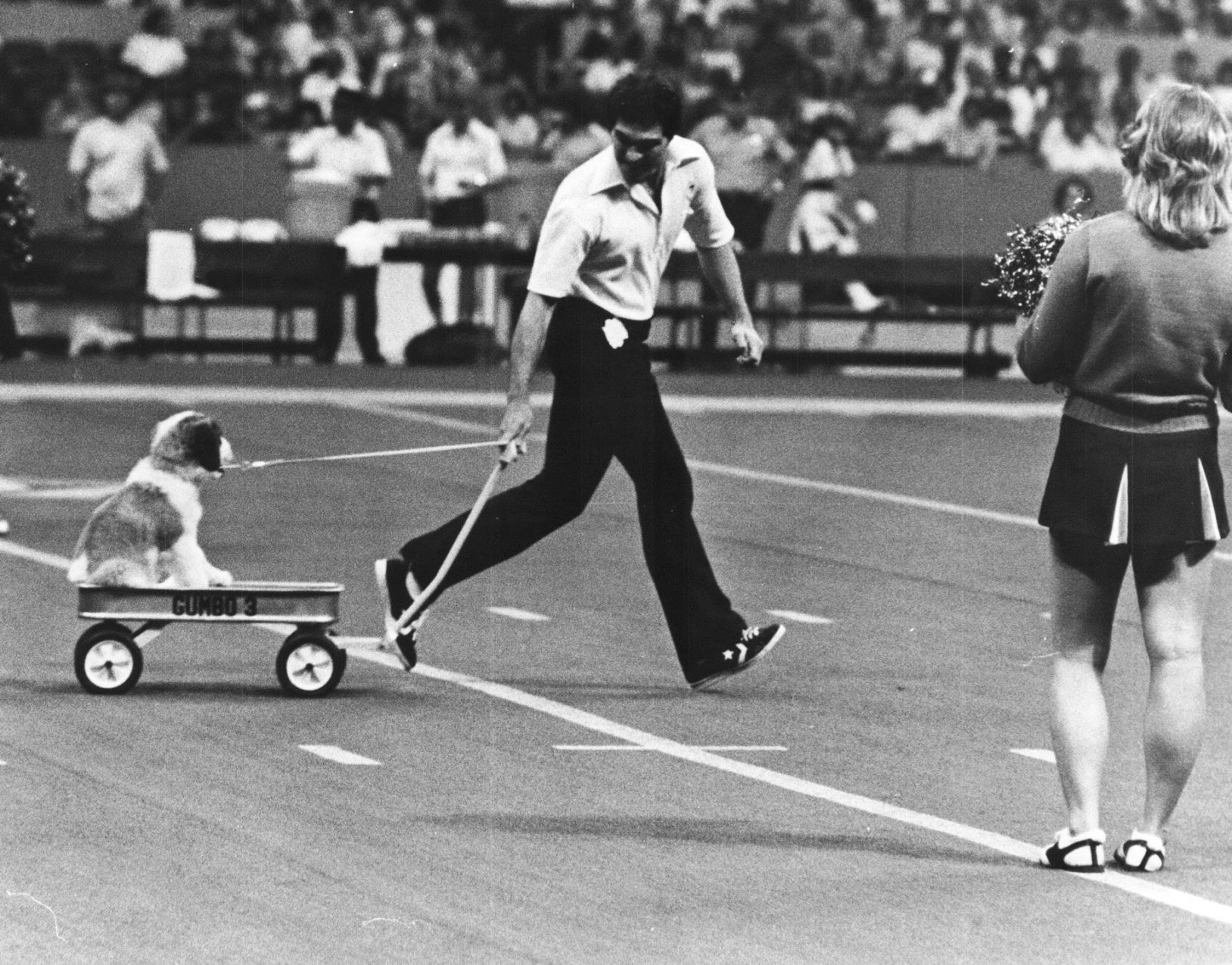 Gumbo rah-rah: How a St. Bernard dog became the New Orleans Saints ...