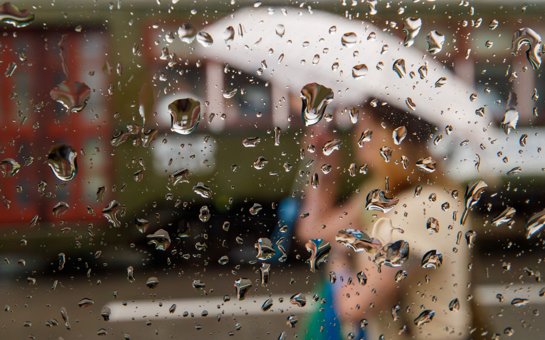 NO.wet.adv.002.jpg | | nola.com
