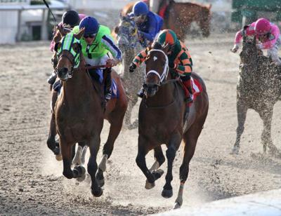 Louisiana Racing Commission chairman Meaux killed in car accident ...