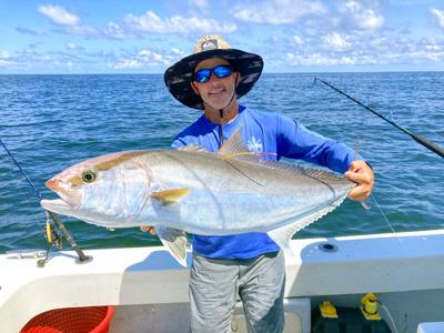 amberjack fish