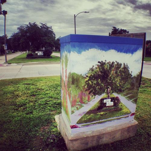 Landscapes blossom on Lakeview neighborhood utility boxes | Arts | nola.com