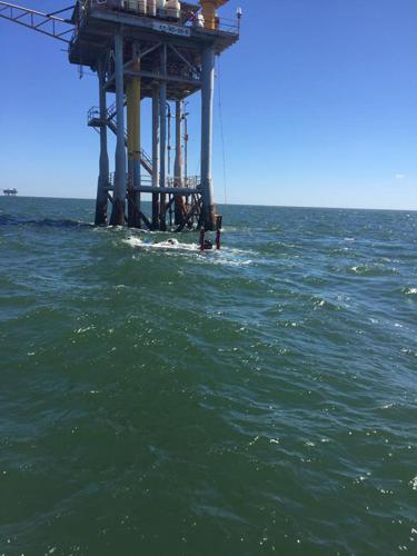 Bass boat sinks in rough seas out of Venice | Sports | nola.com