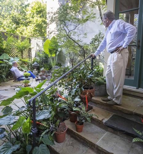 Hidden Esplanade garden of landscape architect Rene Fransen is lush in ...