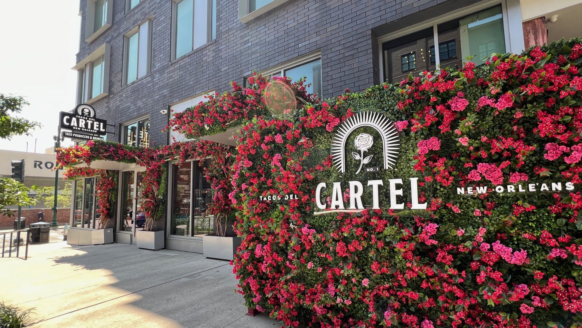 Tacos del Cartel has modern Mexican food, lush patio in NOLA | Where ...