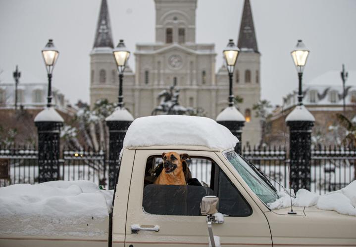 See 2025 photos of New Orleans landmarks covered in snow | Weather ...