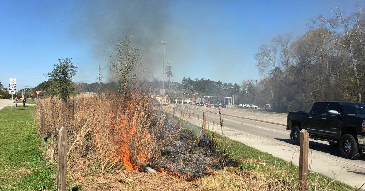 Fire burns Mandeville public garden - for good reason | Traffic | nola.com
