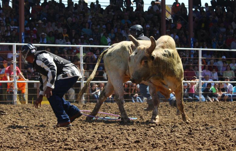 Angola Prison Rodeo, Treme Culture Fest, Satsuma Celebration and more ...