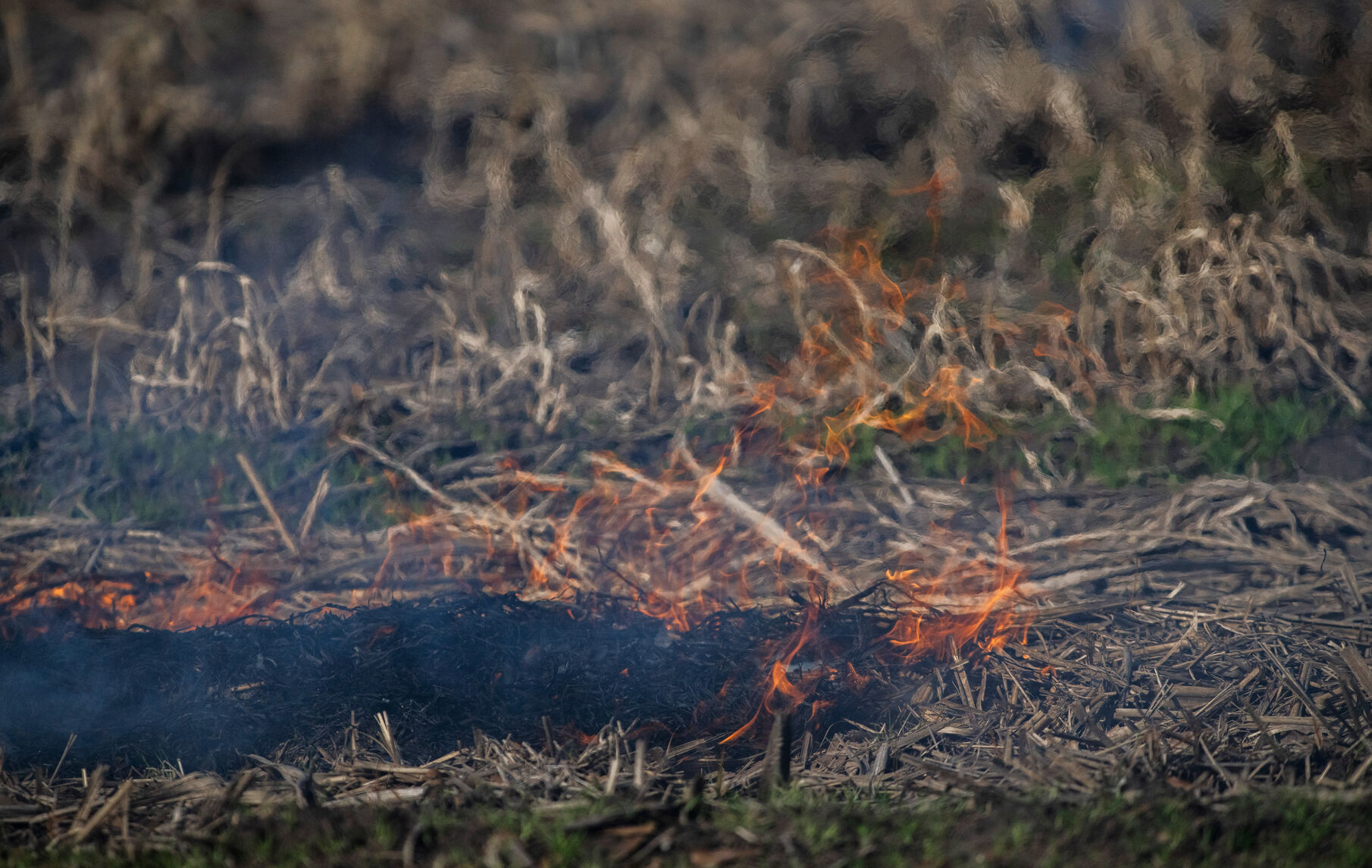 ACA.sugarcaneburn.adv.034.jpg | | nola.com