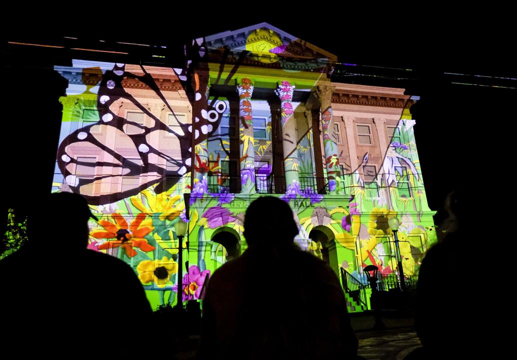 Photos: Luna Fete dazzles in Gretna with colorful lights | Local Events ...