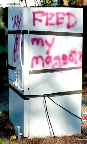 Katrina refrigerators: Pithy platforms for personal expression after ...