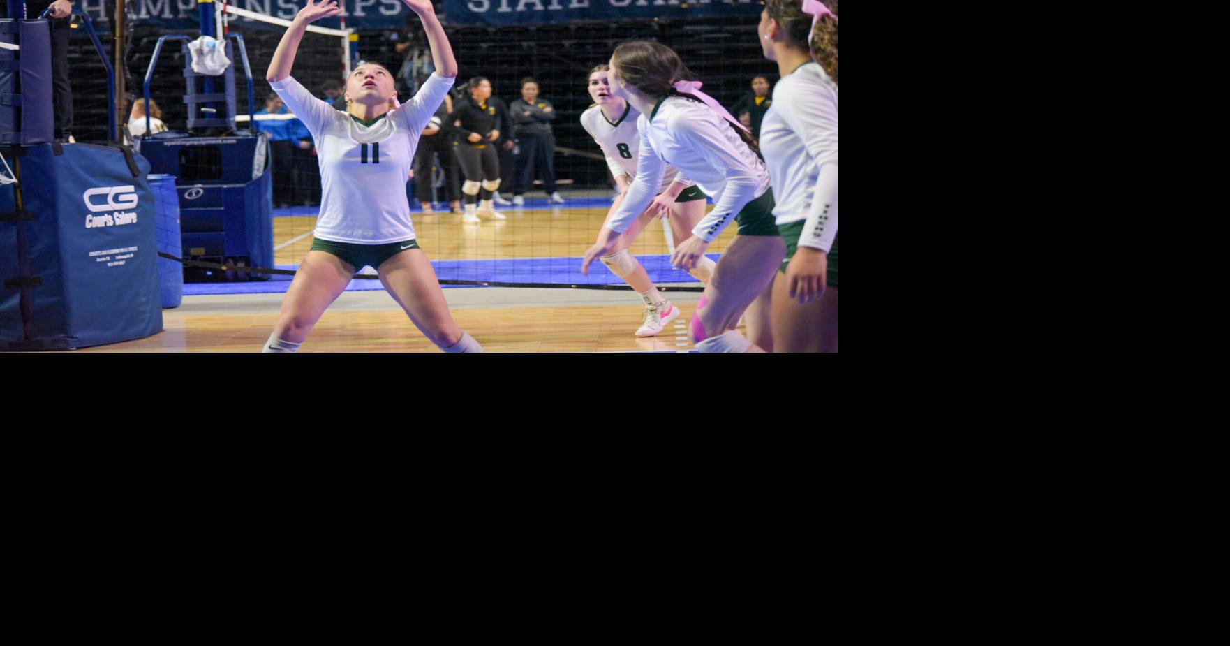 Meet the New Orleans all-metro volleyball teams for 2024 | Prep Sports ...
