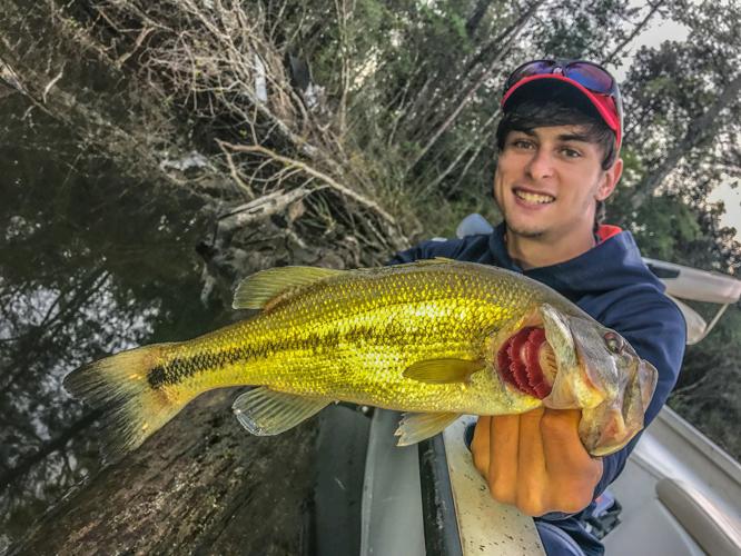 This stupid-looking lure will help you catch a lot more bass | Sports ...