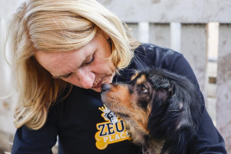 Meet the woman saving Scrim the missing New Orleans dog | Entertainment ...