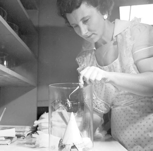 How to properly stomp a cockroach ... or learn to love them | Archive ...