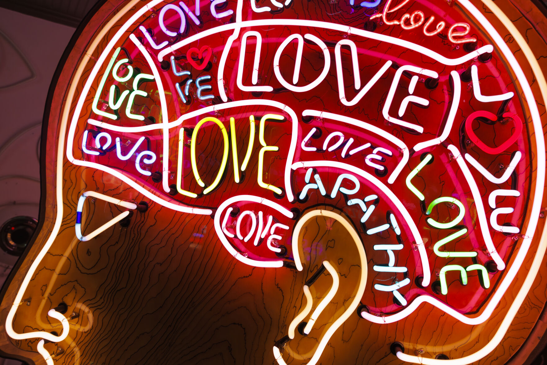 Photos: Big Sexy Neon, the company behind signs on Bourbon Street and ...