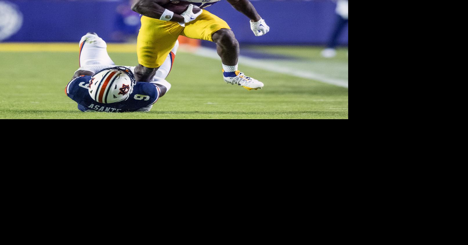 LSU-Army: Four keys to a successful game for LSU | LSU | nola.com