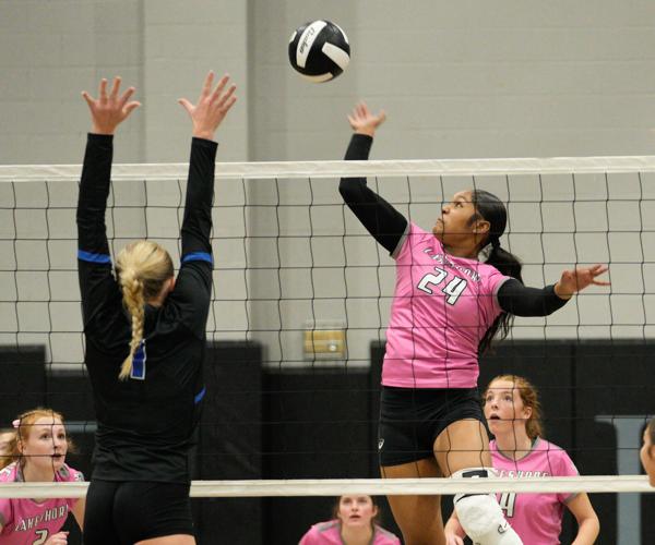 SSA rallies to defeat Lakeshore in 4 sets, claim district title | St ...