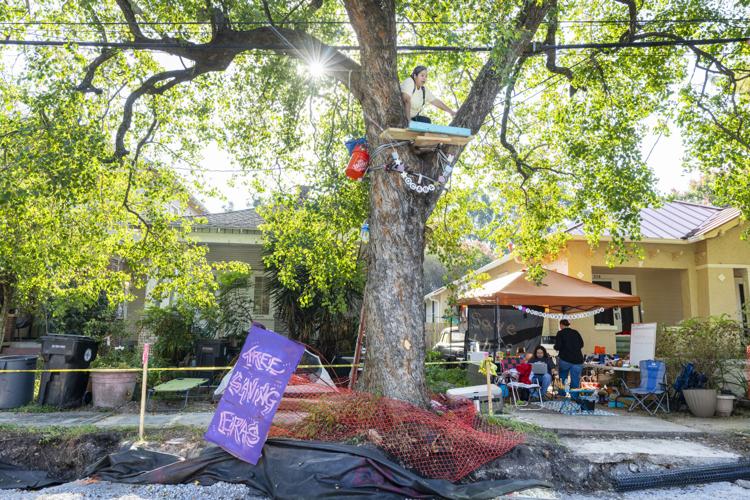Woman camped out in New Orleans tree fights to save it | News | nola.com