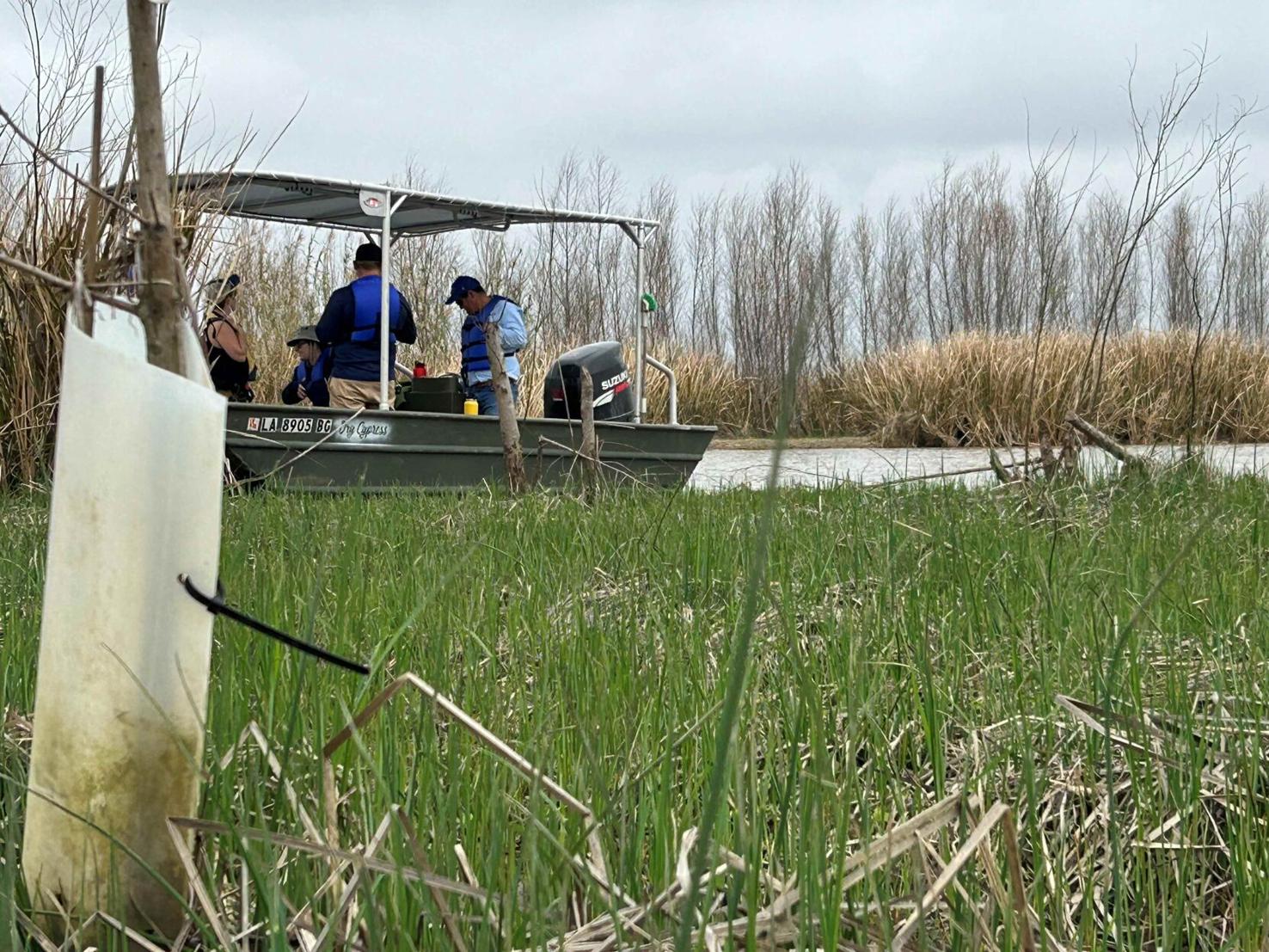 Bob Marshall: Neptune Pass is nature's restoration | Opinions and ...