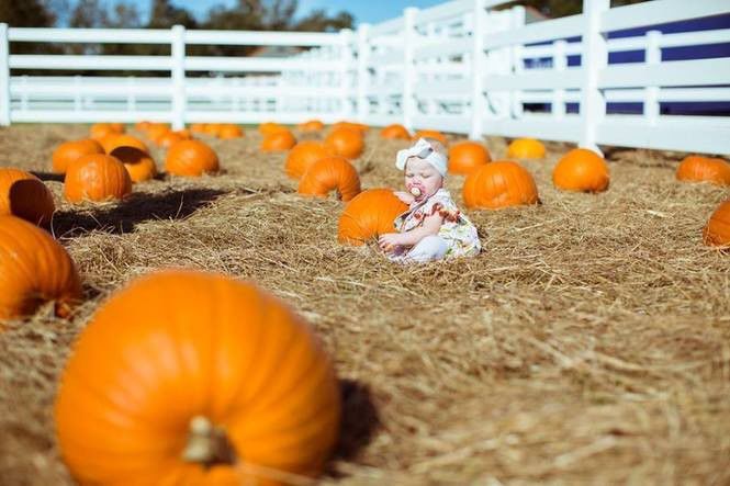 9 pumpkin patches to fall for around New Orleans | Louisiana Festivals ...