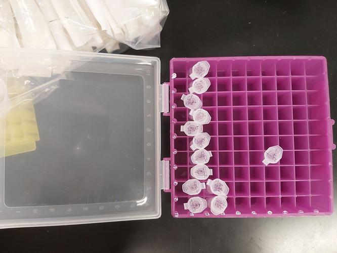 BRCC sponge research project breaks ground, opens doors | Louisiana ...