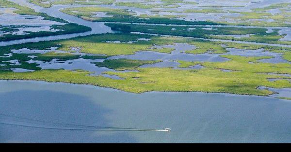 Coastal news roundup: Here's one way Louisiana is benefiting from ...