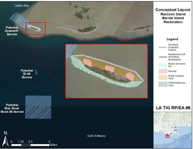 Rebuilt barrier islands are restoring brown pelican numbers ...