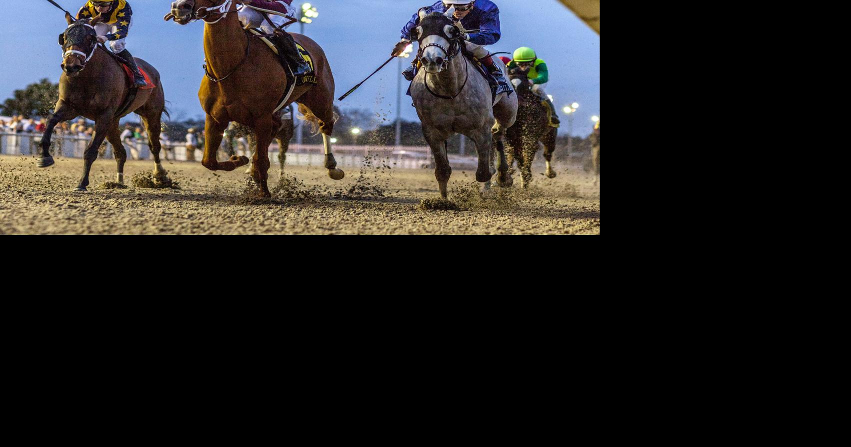 Rachel Alexandra Stakes takes center stage at Louisiana Derby Preview ...