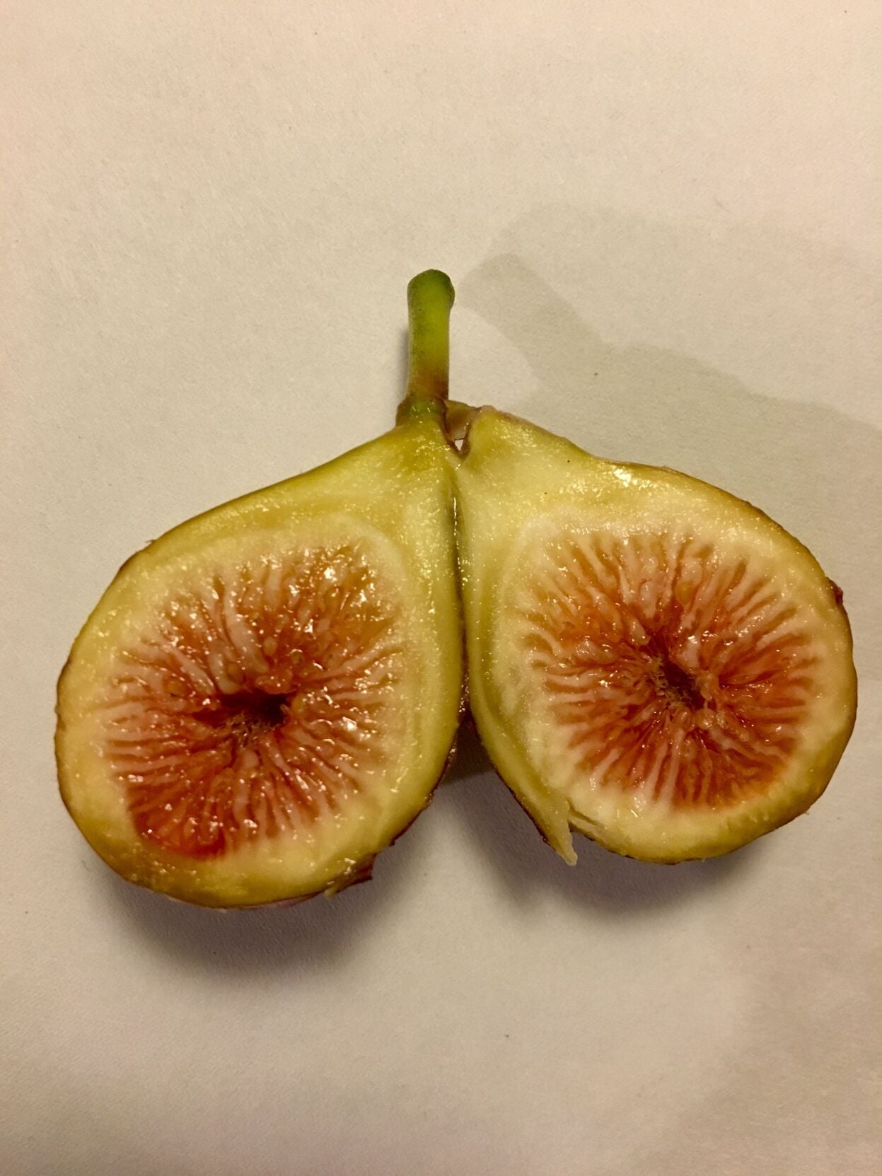 Fig trees are a hit here. Get in on the growing trend. | Home/Garden ...