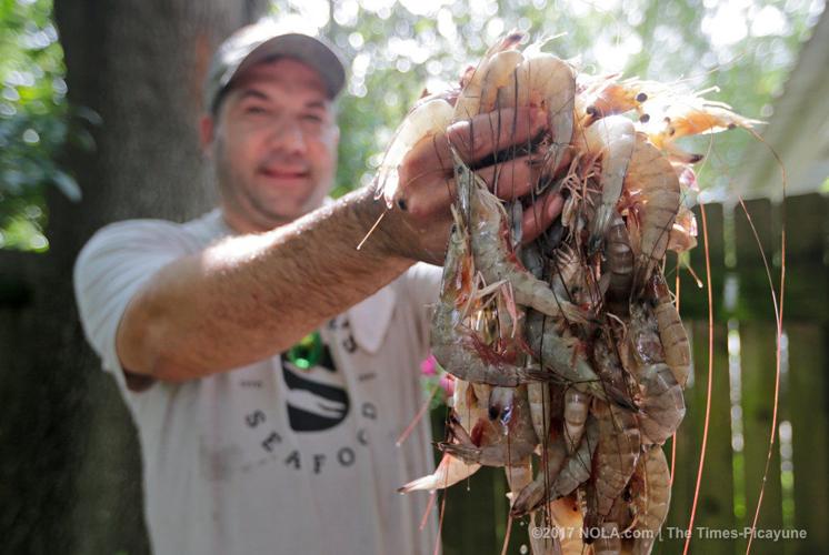 How to boil shrimp: Your eyes and tastebuds are your timer | Where NOLA ...