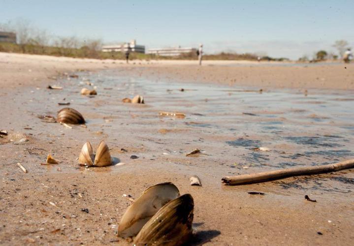 Pontchartrain Beach coming back? Foundation seeks money to move 17,000 ...