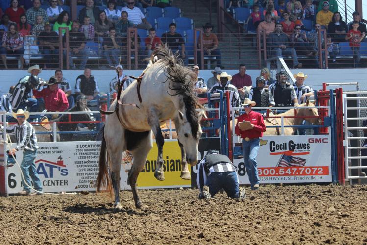 Angola Prison Rodeo, Treme Culture Fest, Satsuma Celebration and more ...