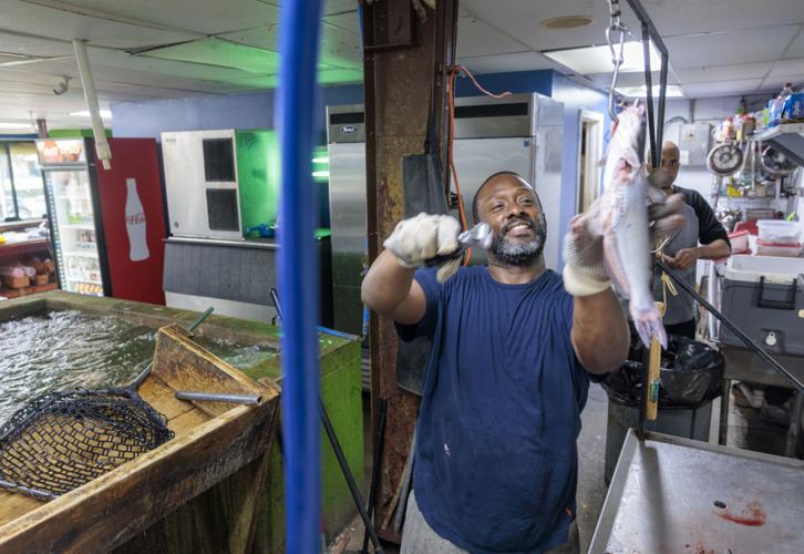 Williby's Catfish near Dillard has an indoor catfish pond | Where NOLA ...