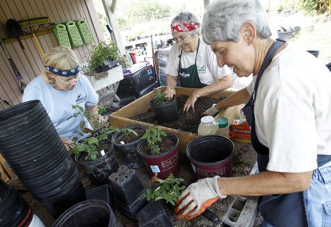 Get free trees at NOLA Tree Project giveaway: 12 gardening events not ...