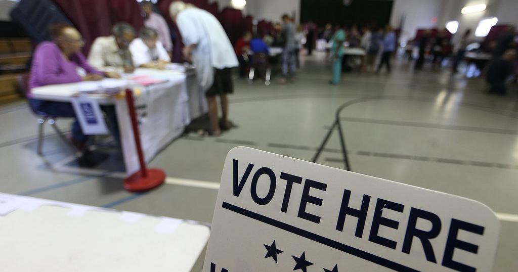 So many Louisiana elections, so few Louisiana voters | Opinions and ...