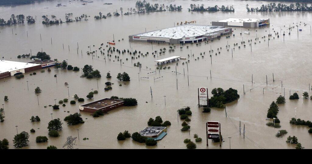 UN report paints dire picture of the Gulf of Mexico's future ...