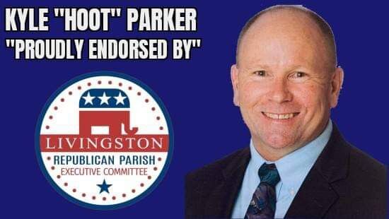 Livingston Parish Voter Guide: Sheriff, council and BESE | Local ...