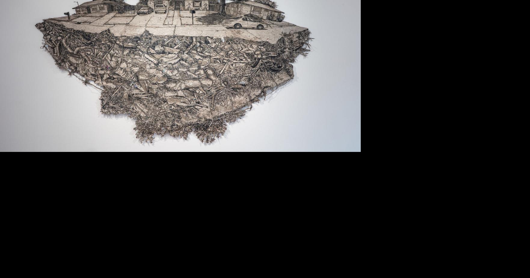 At Newcomb, artists explore environmental disaster and its effect on ...