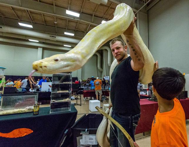 Reptile show returns to Slidell Harbor Center: See details ...