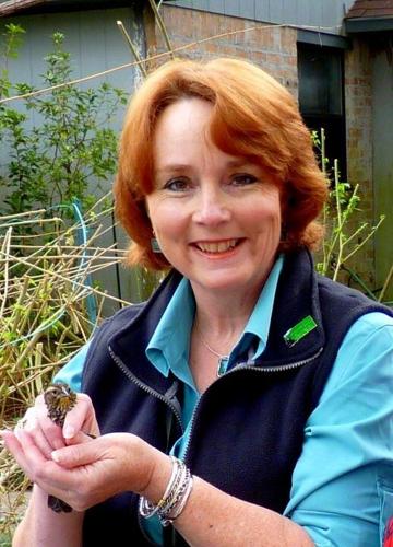 Baton Rouge birding teacher shares hummingbird tips | Entertainment ...