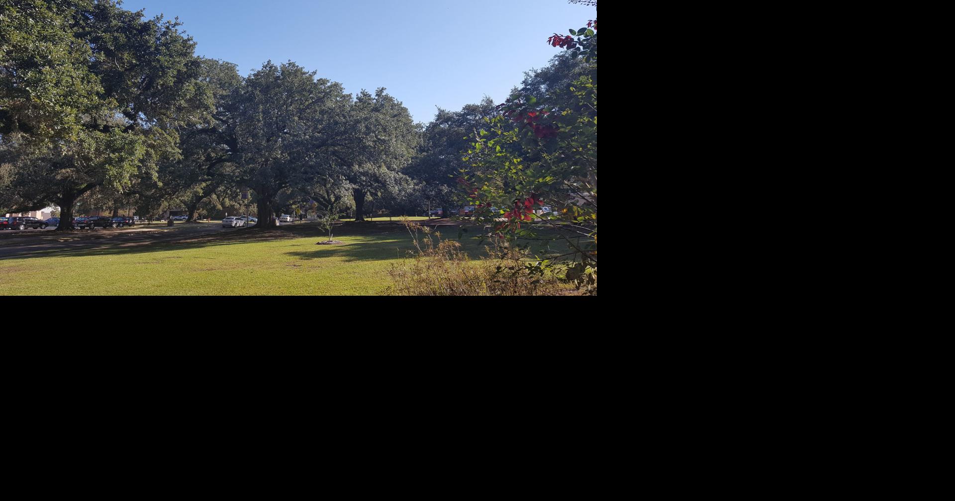 Garden News: Time to go native when it comes to your landscape | Home ...