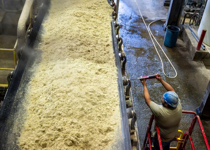Here's how sugar is made in Louisiana: inside a sugar mill | News ...