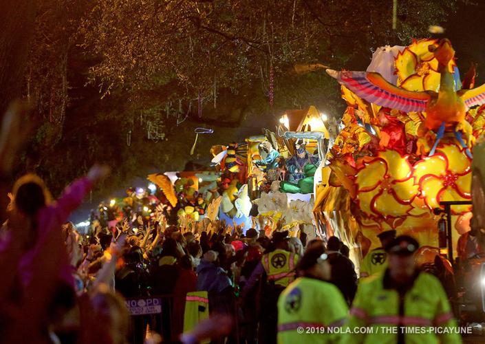The Knights of Babylon parade Thursday evening: See the photos ...