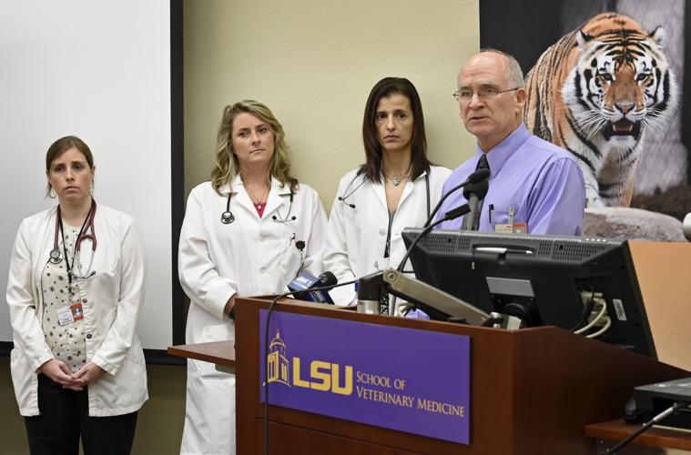 Our Views: The man behind the roar moves on, with the thanks of LSU's ...