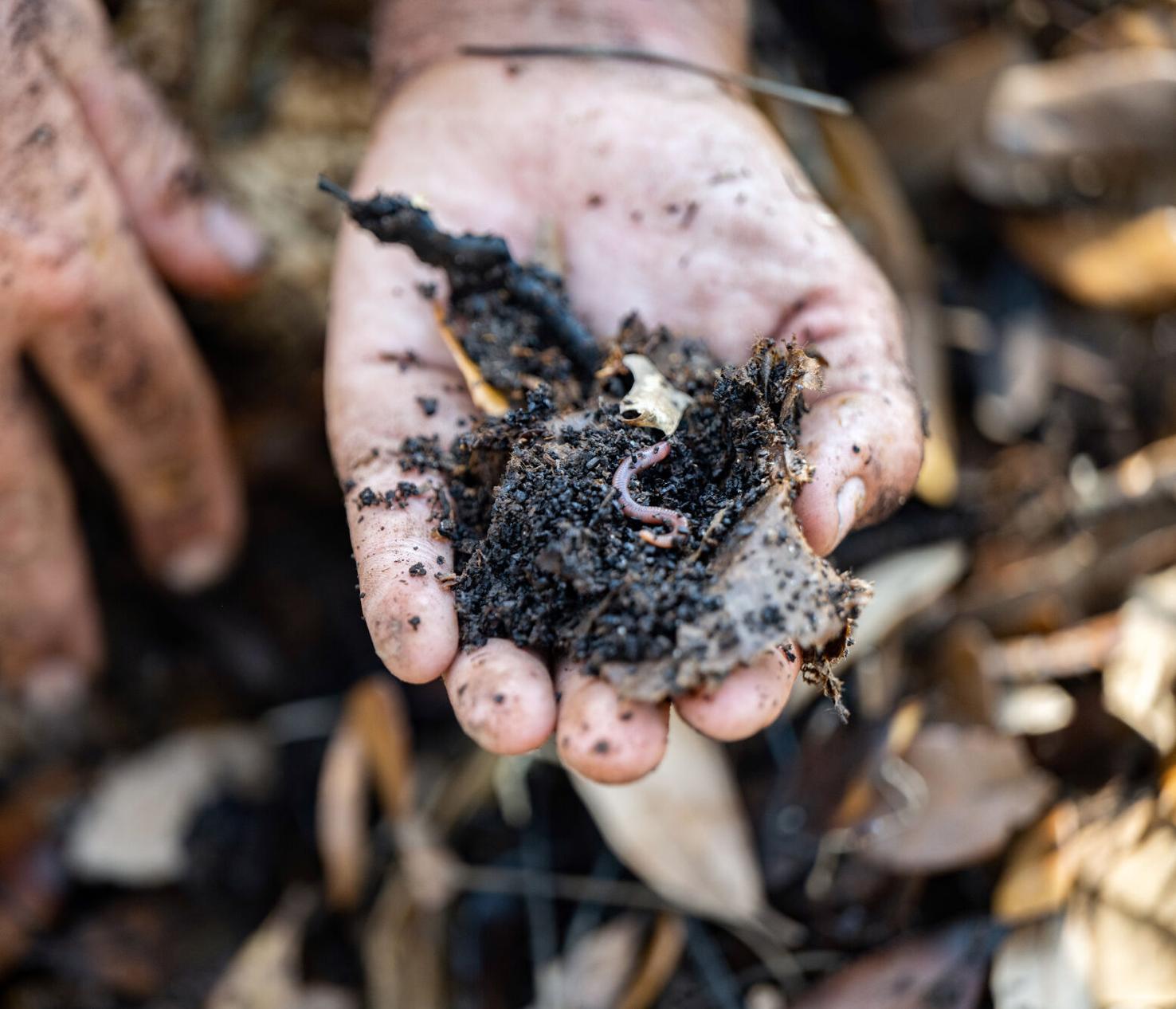Louisiana 'worm lady' turns waste into wonder | Louisiana Inspired ...