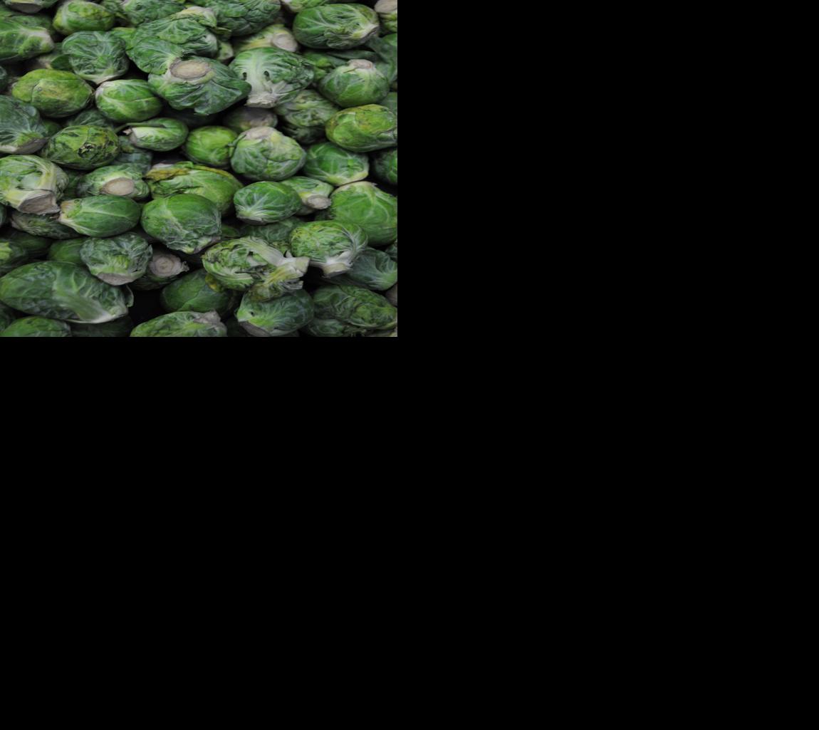 Ripen oranges on the tree before picking: Dan Gill's advice | Home ...