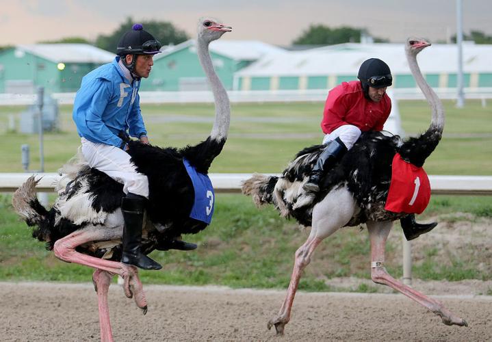 Emu Racing