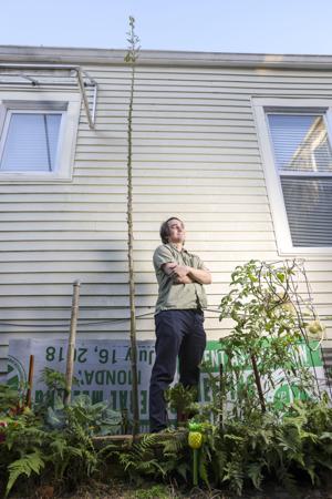 Meet Big Okra: Guinness World Records declares New Orleans man's 16.4 ...