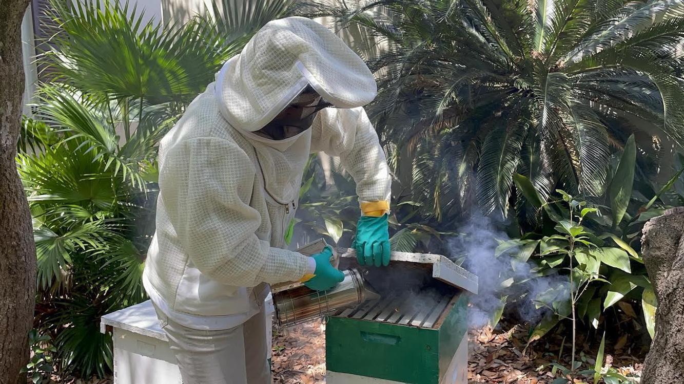 Meet BEE the Change NOLA, Newman's beekeeper clubs | Louisiana Inspired ...