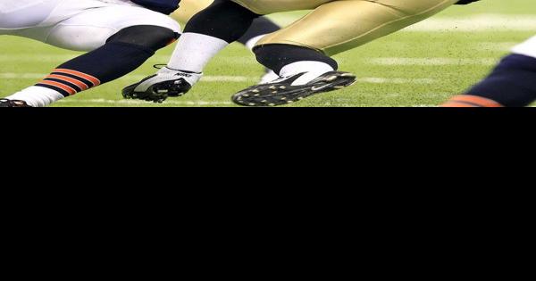 Craig Steltz, former LSU football player, sues NFL for brain injuries ...